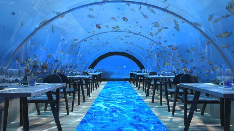 Maldives Resorts Case Study – Digital Frontier